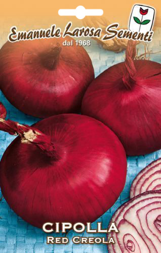 Oignon Gros Rouge Créole