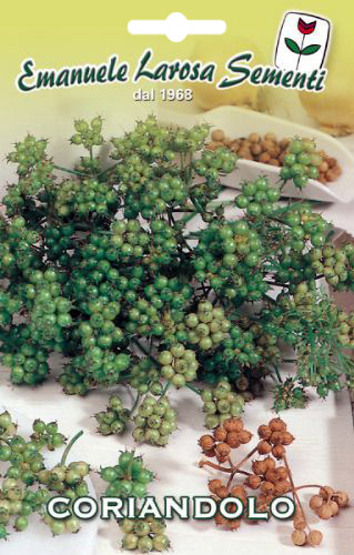 plante aromatique italienne