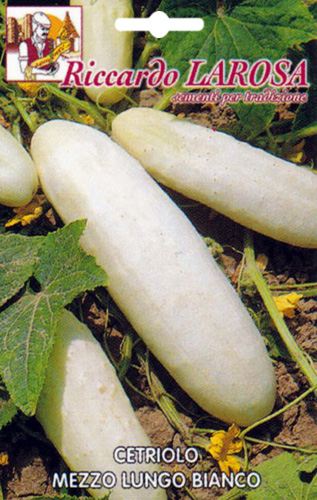 Concombre Long Blanc Grimpant