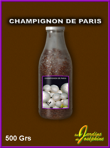 Semis et Semences de Champignon de Paris Blanc