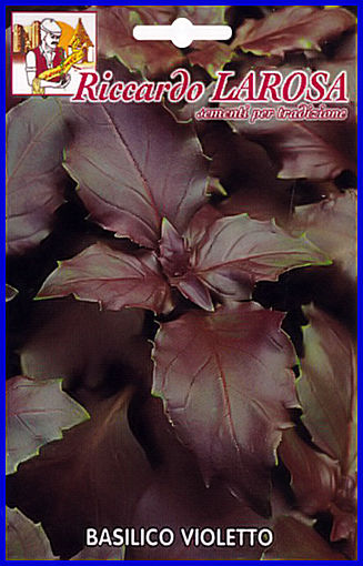 GRAINES ET SEMENCES DE ROQUETTE-RADIS-ITALIEN