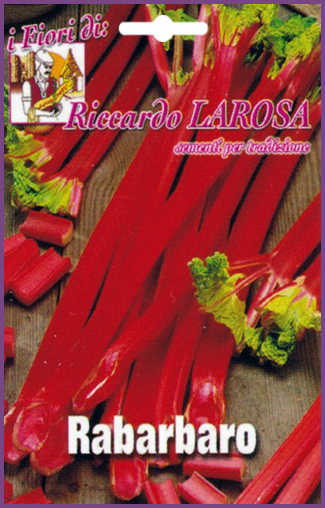Rhubarbe Rouge Italienne