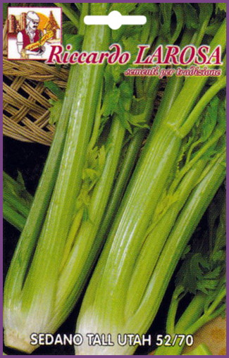 Cèleri en Branche à Couper Vert Foncé