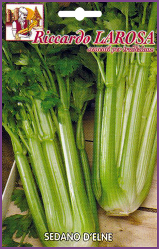 Cèleri en Branche Vert Foncé