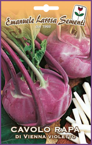 Chou Rave Violet de Vienne