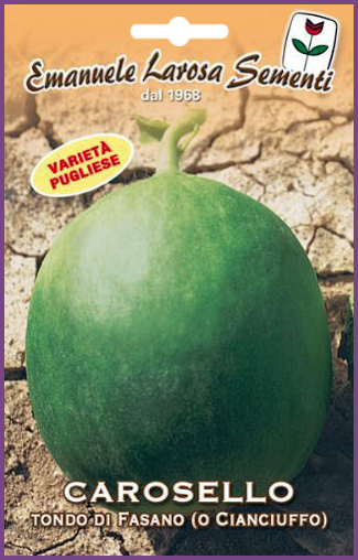 Concombre Rond Très Apprécié des Gourmets