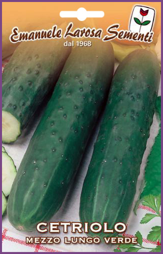 Concombre Demi-Long Vert