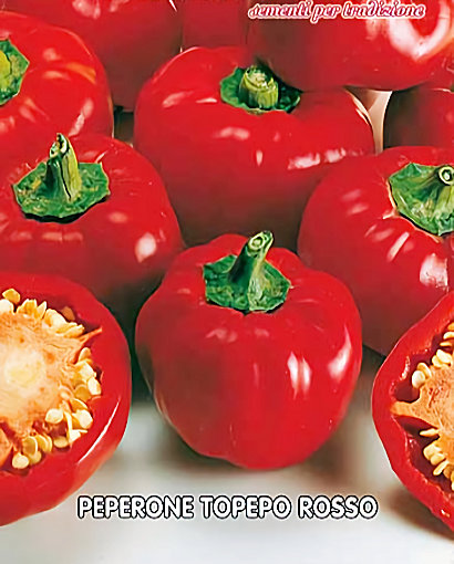 Toutes les Plus belles Variétés de Poivrons Italiens.