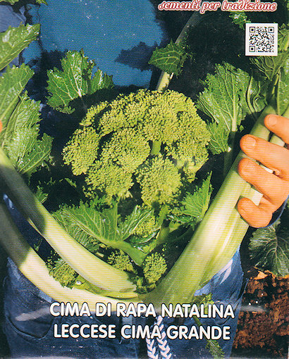 Cima di Rapa 130 Jours.