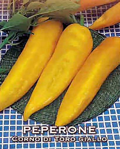 Toutes les Plus belles Variétés de Poivrons Italiens.