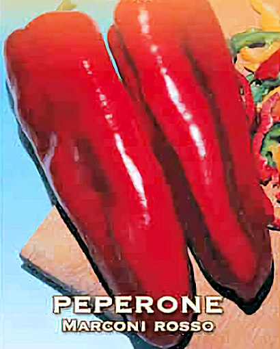 Toutes les Plus belles Variétés de Poivrons Italiens.