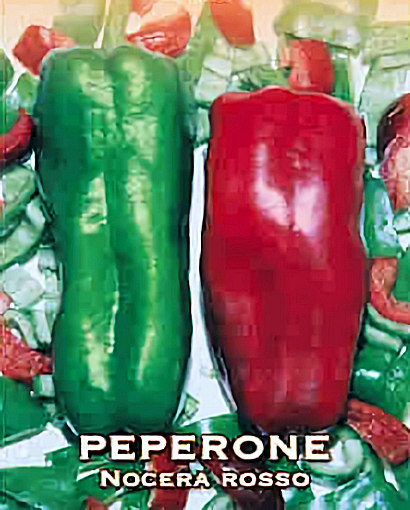Toutes les Plus belles Variétés de Poivrons Italiens.