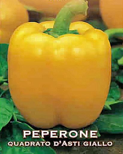 Toutes les Plus belles Variétés de Poivrons Italiens.