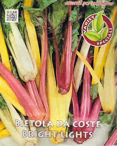 Blette à Côte Multicolore.