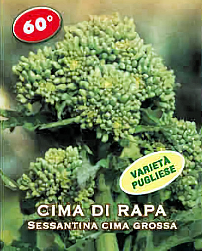 Cima di Rapa 60 Jours.