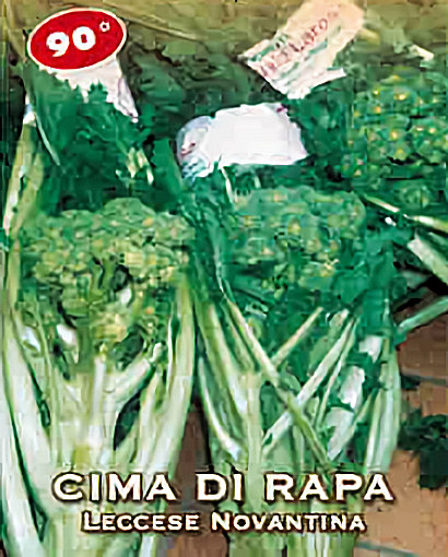 Cima di Rapa 90 Jours.