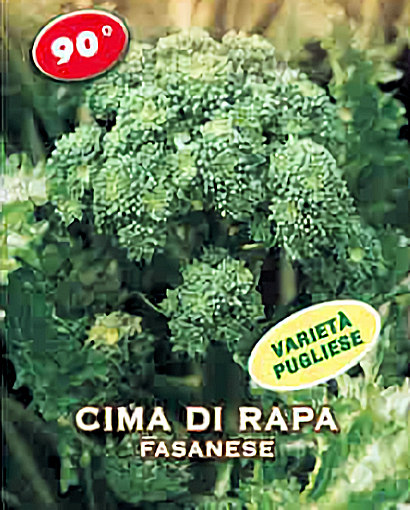 Cima di Rapa 90 Jours.