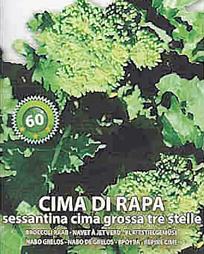 Cima di Rapa 60 Jours.