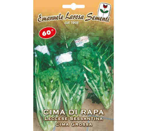 Cima di Rapa 60 Jours.