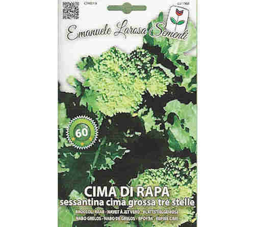 Cima di Rapa 60 Jours.