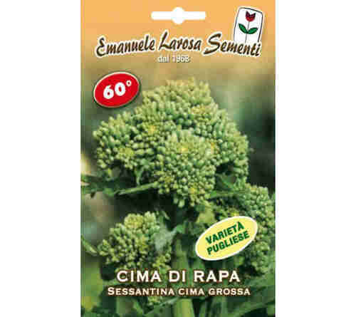 Cima di Rapa 60 Jours.