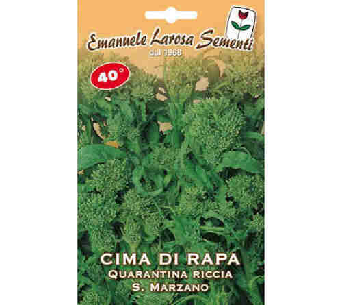 Toutes les Graines Semences et Semis de Cima di Rapa Brocolis Italiens.