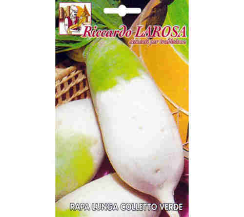 Navet Long à Col Vert.