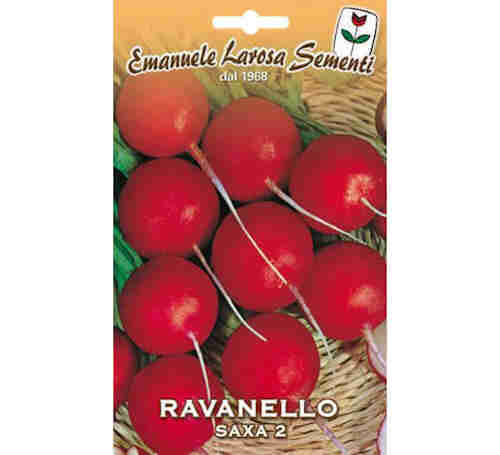 Radis Rouge Rond Italien.