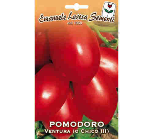 Les Plus Belles Variétés de Tomates Italiennes