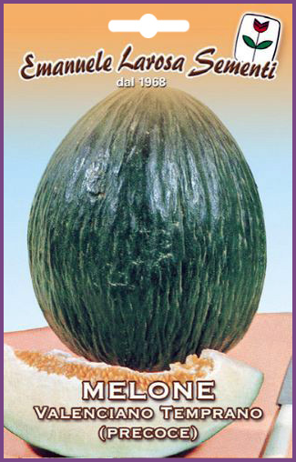 Melon Vert de Valence