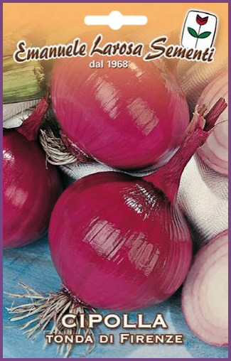 Oignon Rond Rouge de Florence