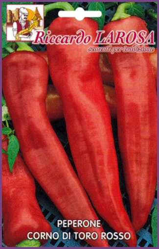 Poivron Long Rouge Corne de Taureau