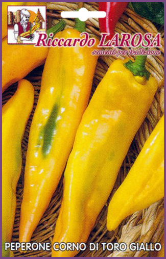 Poivron Long Jaune Corne de Taureau