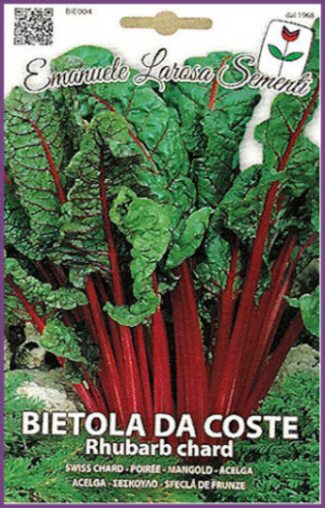 Rhubarbe Rouge Italienne