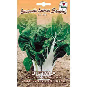 Blette à Large Feuille Italienne