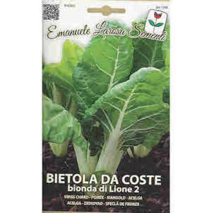 Blette à Large Feuille Italienne