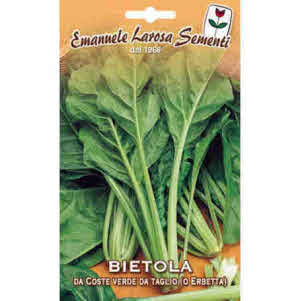 Blette à Large Feuille Italienne